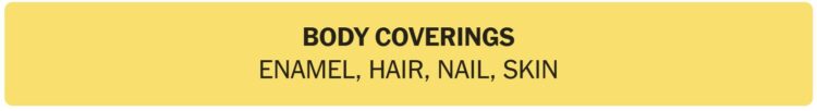 ‘NYT Connections’ Answers Today April 25th, 2026 – 1049 Hints and ...